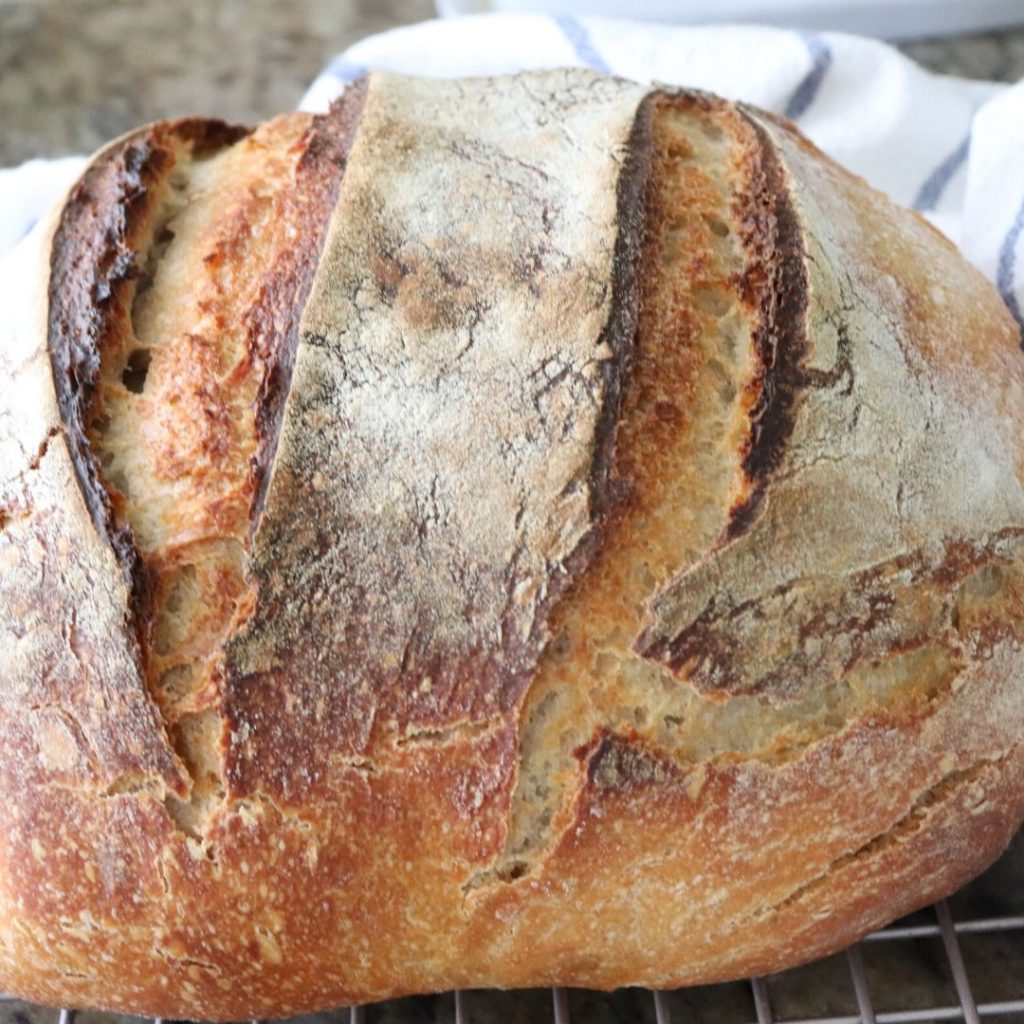 Rustic Sourdough Bread for Beginners - The Duvall Homestead