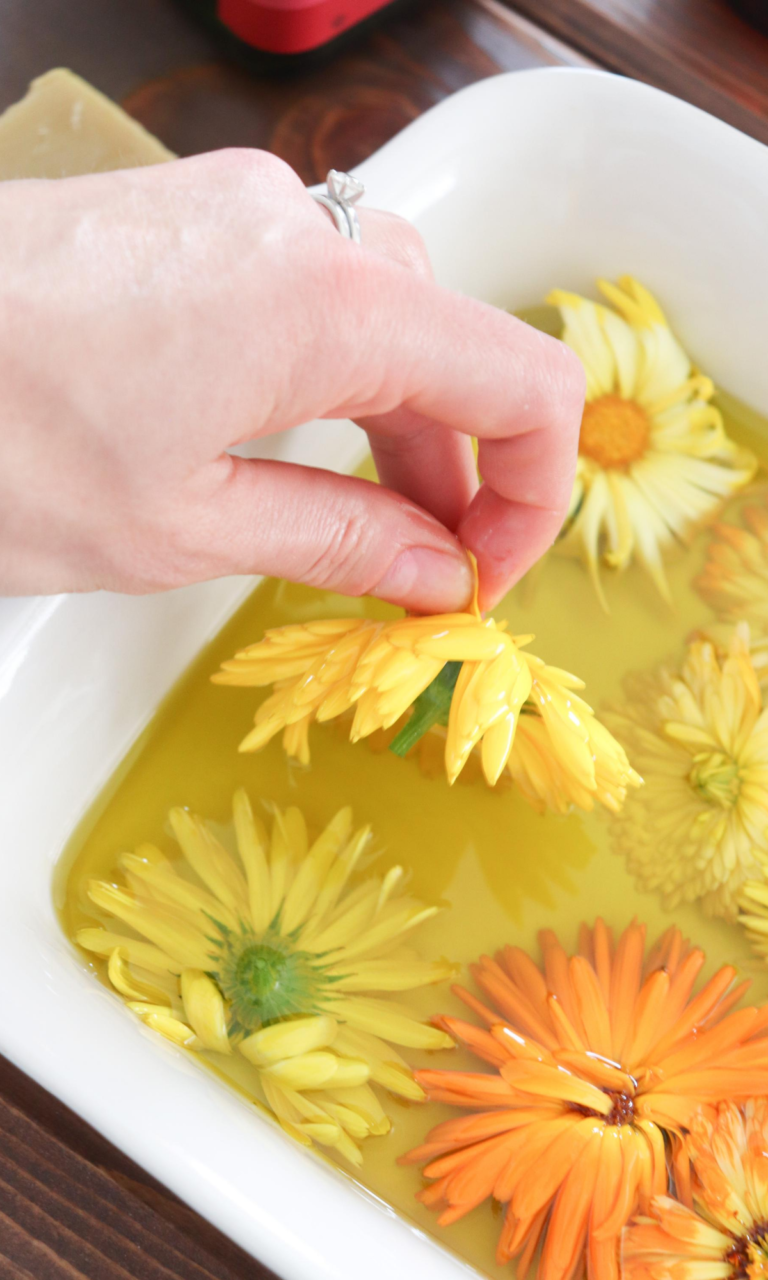 How to make Calendula Oil - The Duvall Homestead