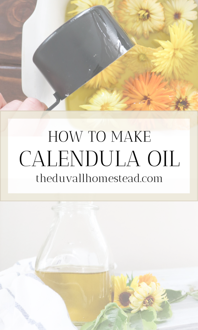 How to make Calendula Oil - The Duvall Homestead