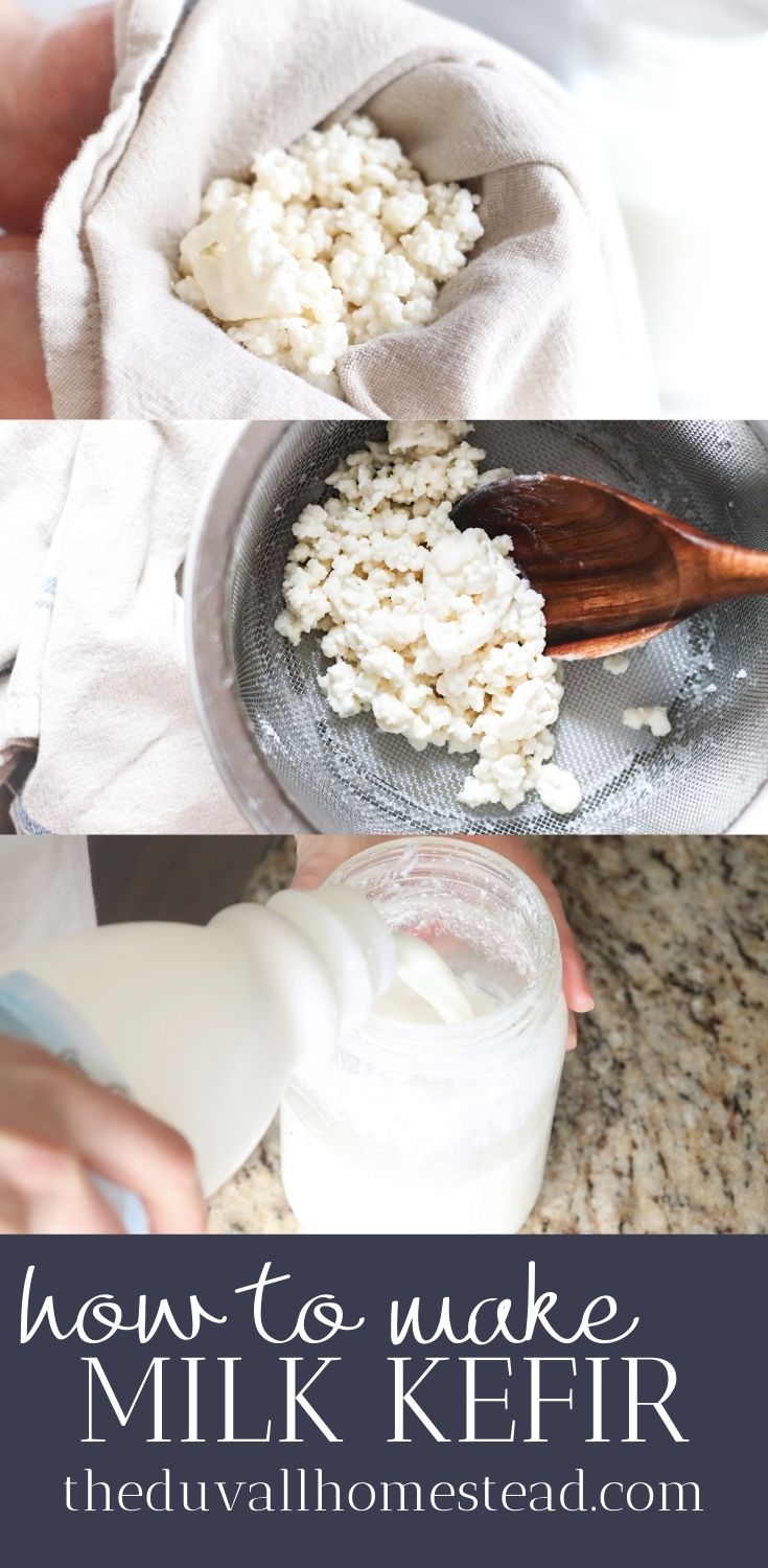 Homemade Milk Kefir with Raw Milk - The Duvall Homestead