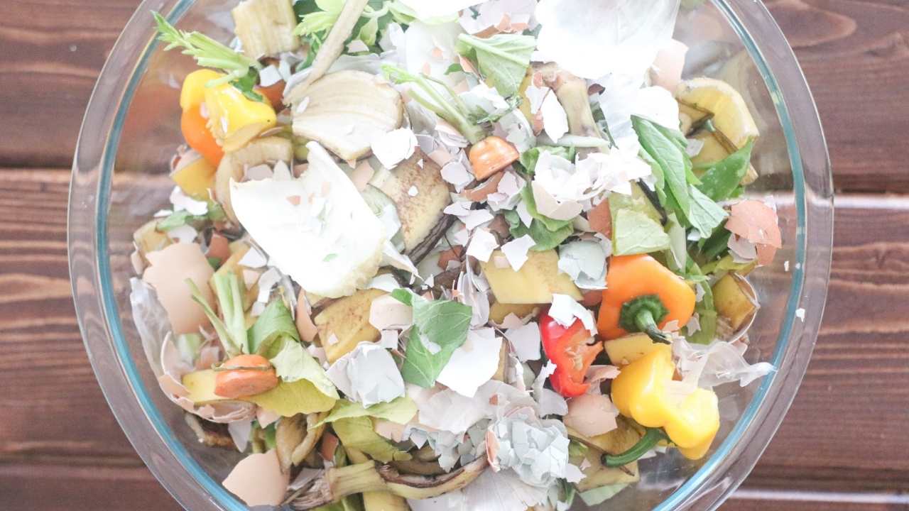 How to Start Composting at Home - The Duvall Homestead