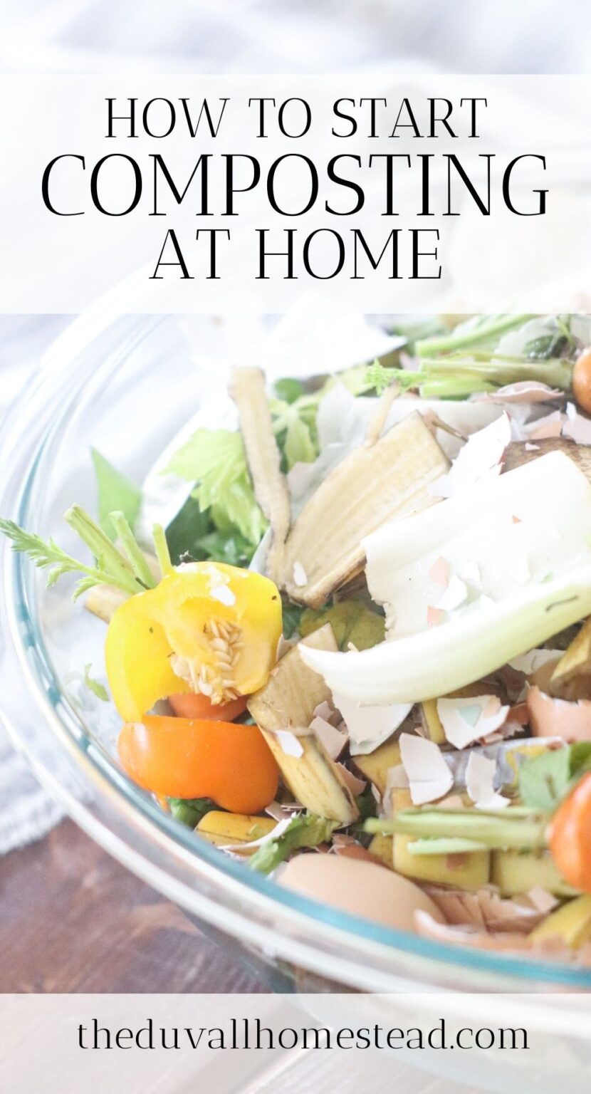 How to Start Composting at Home - The Duvall Homestead