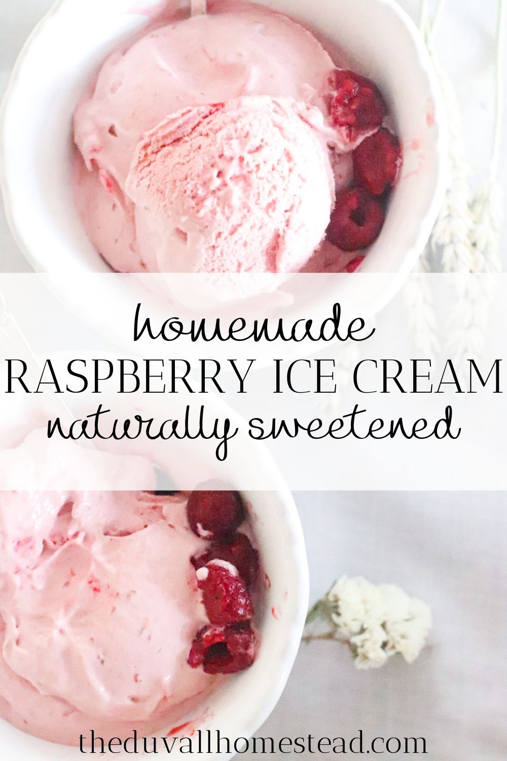Best All Natural Homemade Raspberry Ice Cream - The Duvall Homestead