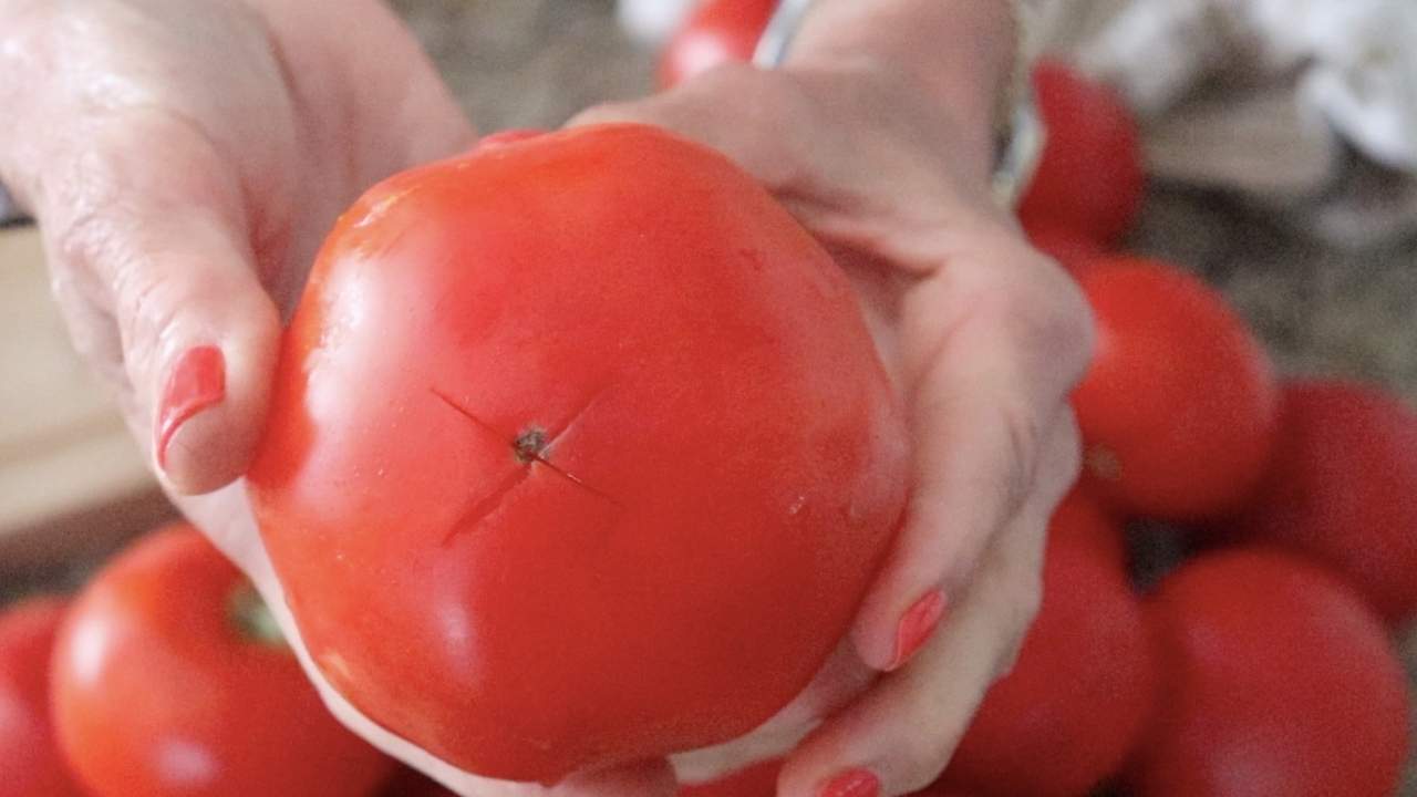 How to Make Tomato Sauce with Fresh Tomatoes - The Duvall Homestead