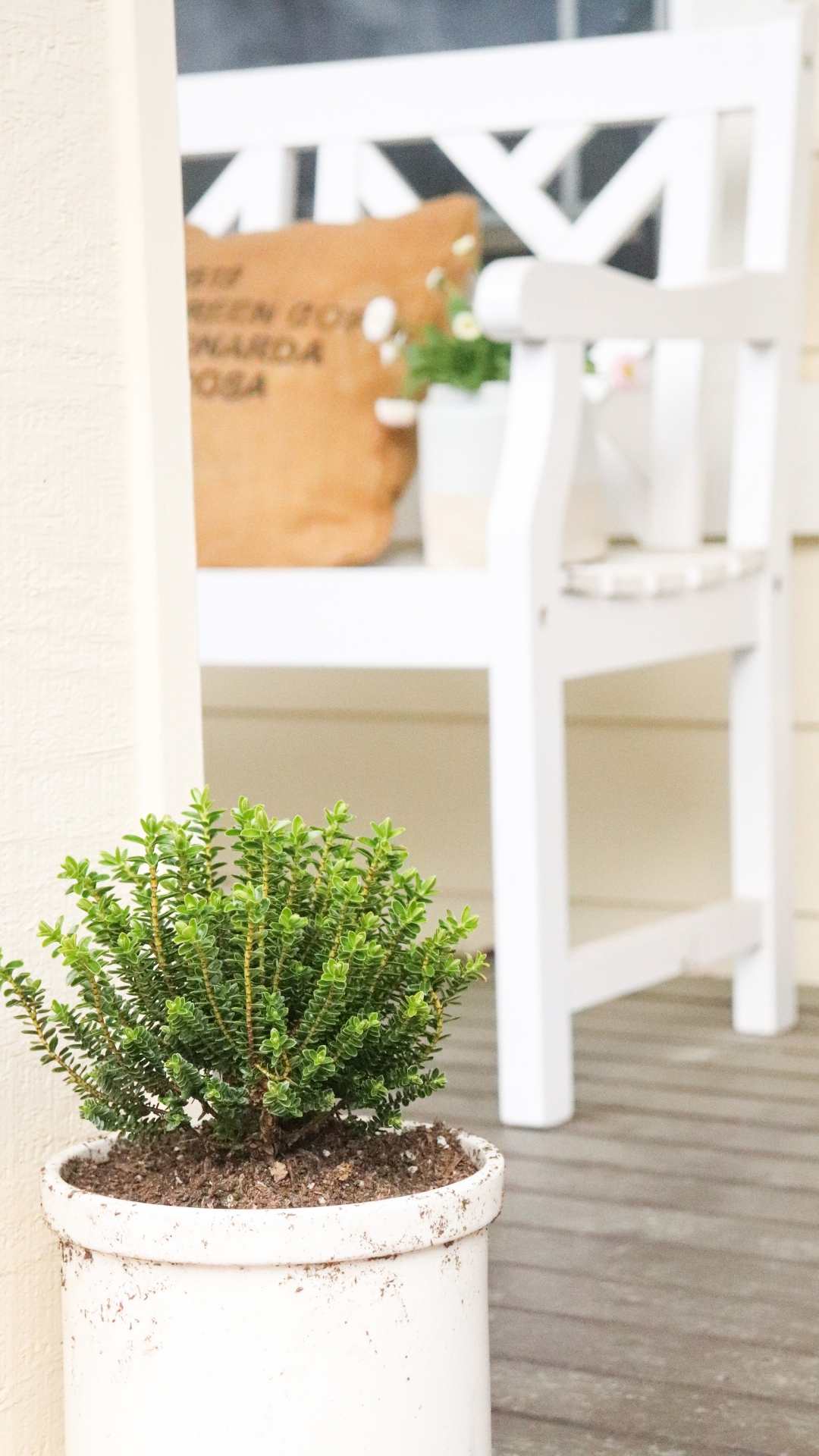 Early Spring Farmhouse Home Tour - The Duvall Homestead