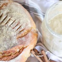 Einkorn Sourdough Starter - The Duvall Homestead