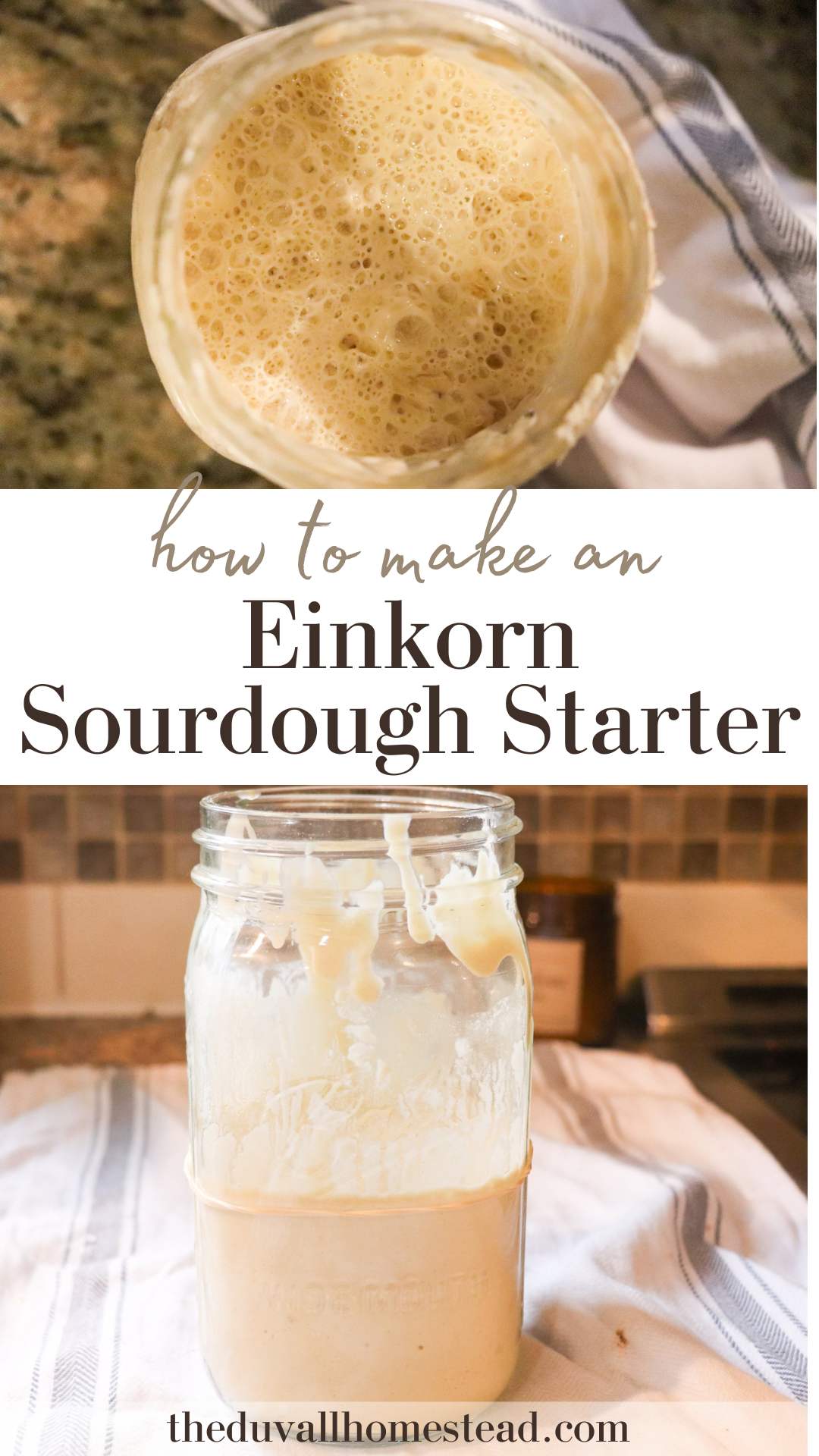 Einkorn Sourdough Starter - The Duvall Homestead