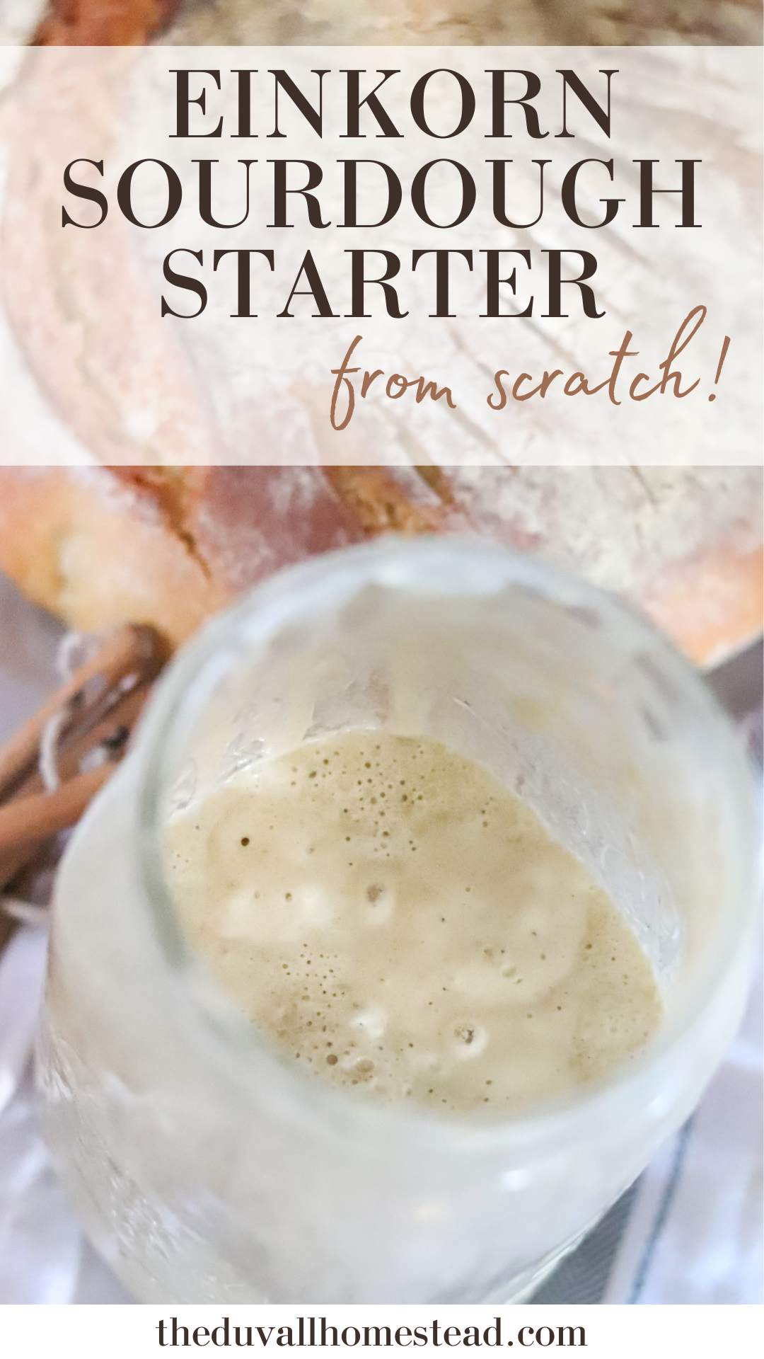 Einkorn Sourdough Starter - The Duvall Homestead