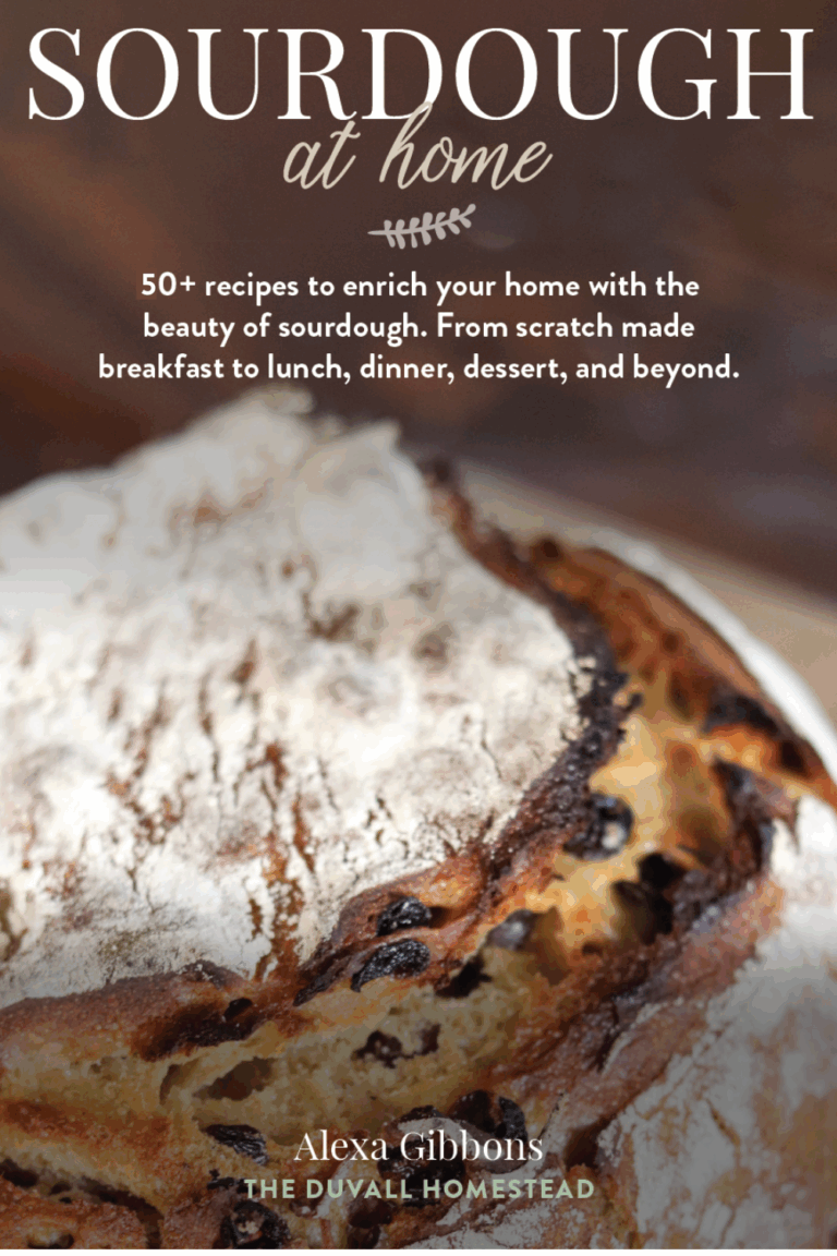 19 Cozy Breakfast Recipes from Scratch - The Duvall Homestead