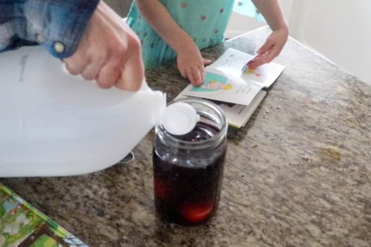 Natural Easter Egg Dye Tutorial - The Duvall Homestead