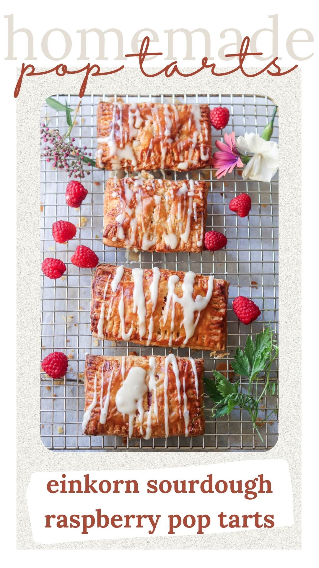 Einkorn Sourdough Raspberry Pop Tarts - The Duvall Homestead