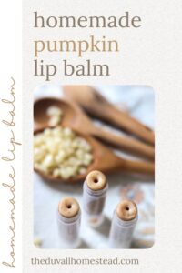 Homemade Pumpkin Spice Lip Balm for Dry Lips - The Duvall Homestead