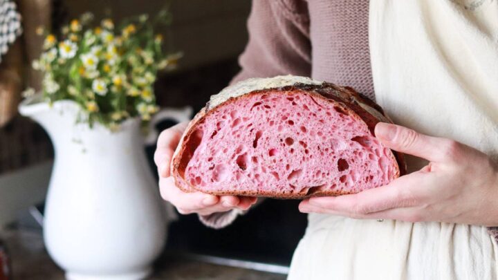 Pink Sourdough Bread - The Duvall Homestead