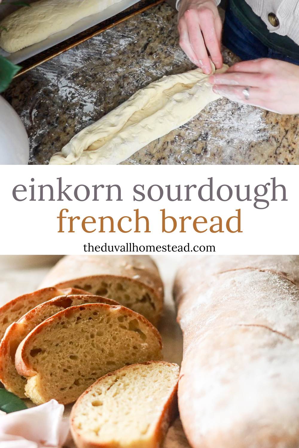 Einkorn Sourdough French Bread The Duvall Homestead