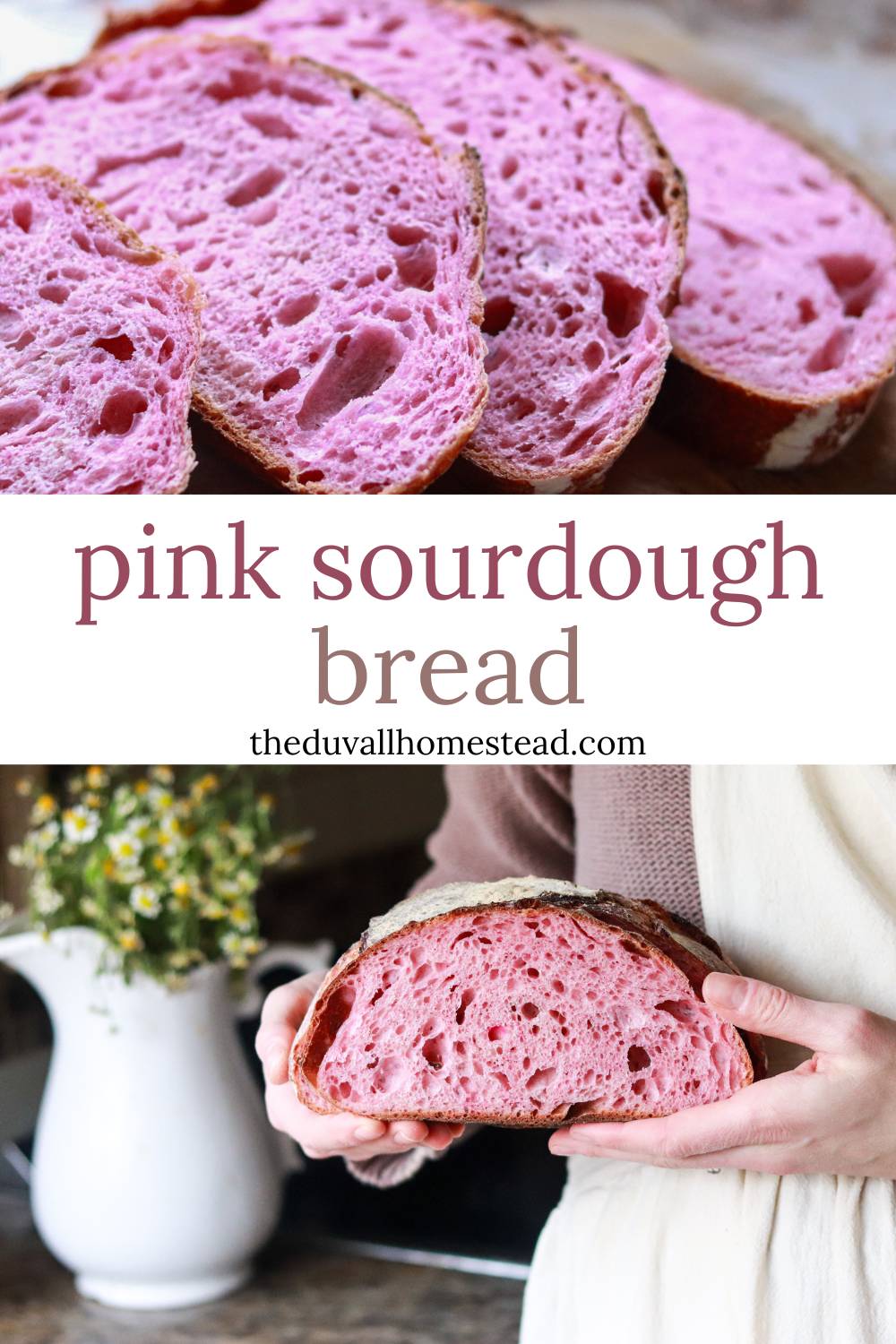Pink Sourdough Bread - The Duvall Homestead