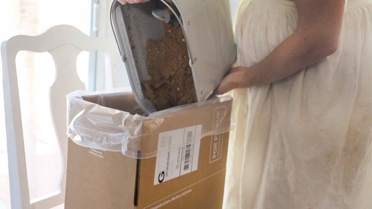 Honest Review of the Mill Food Recycler for a Busy Family of 5