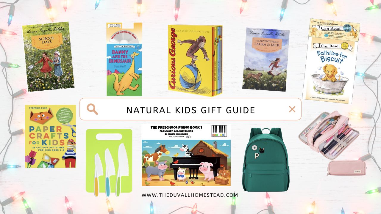The 2025 Natural Kids Christmas Gift Guide - The Duvall Homestead